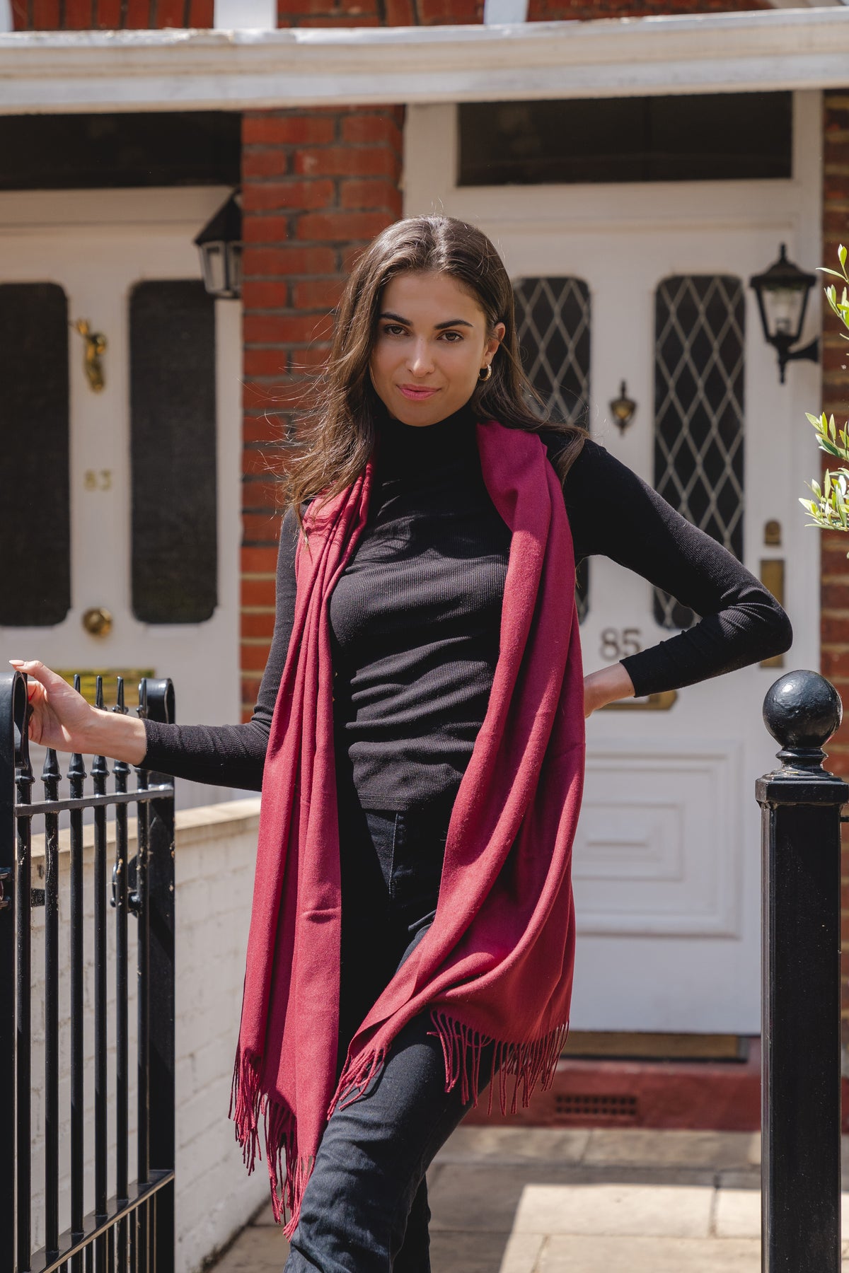 Celine Scarf Colour Plum - PAS47 — Accessories by Park Lane